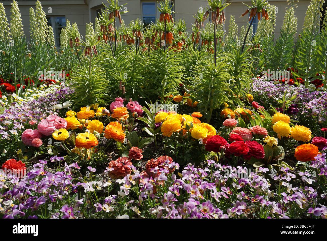 Beautiful, colorful flowers bloom in a flowerbed by Schloss ...
