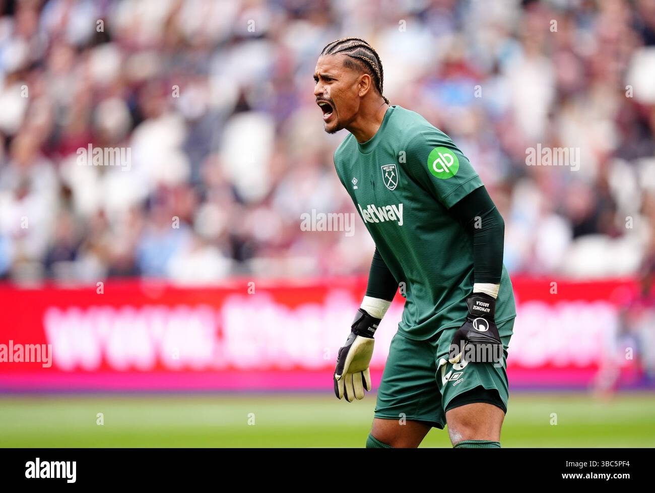 West Ham United goalkeeper Alphonse Areola during the Premier League ...