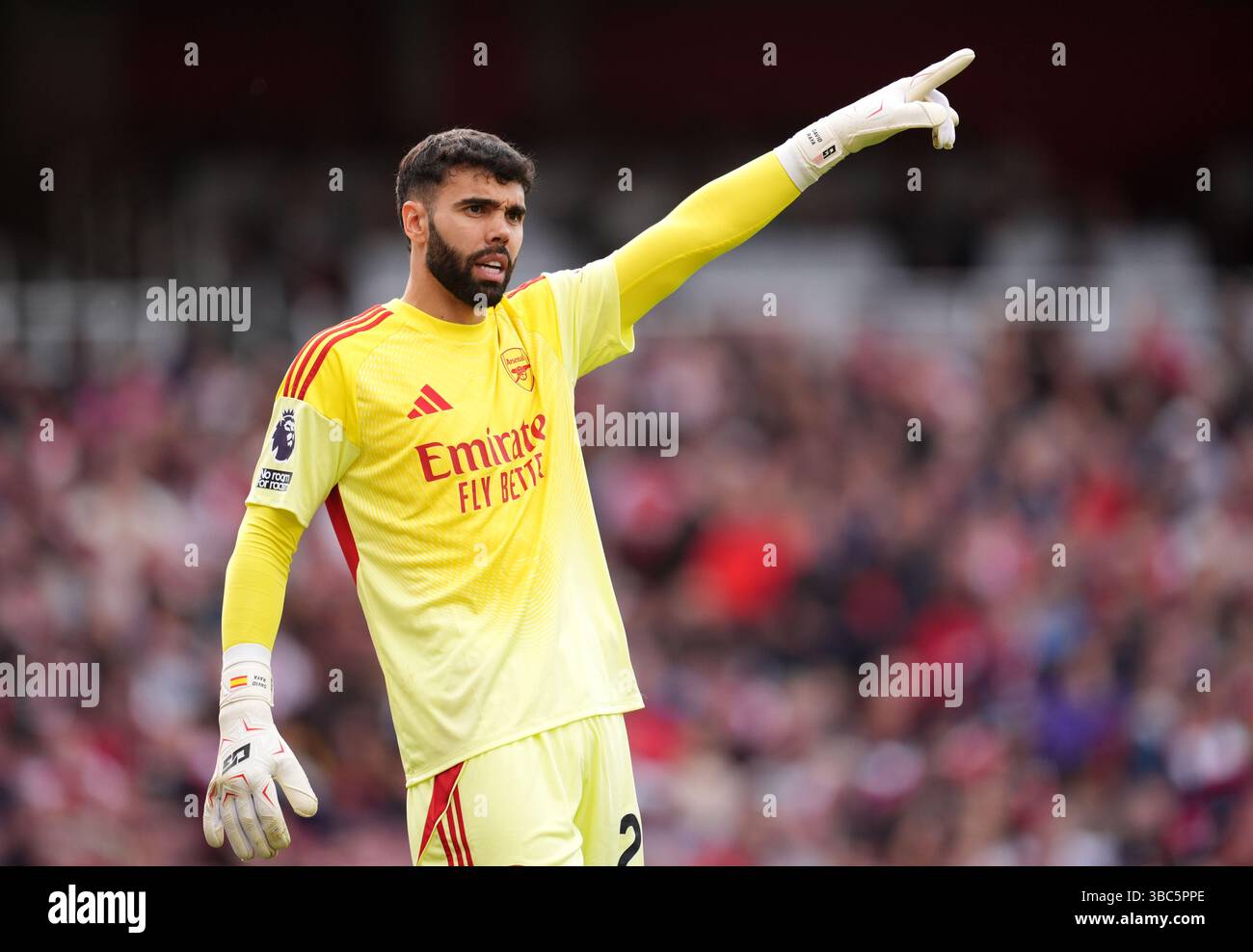 Arsenal goalkeeper David Raya during the Premier League match at ...