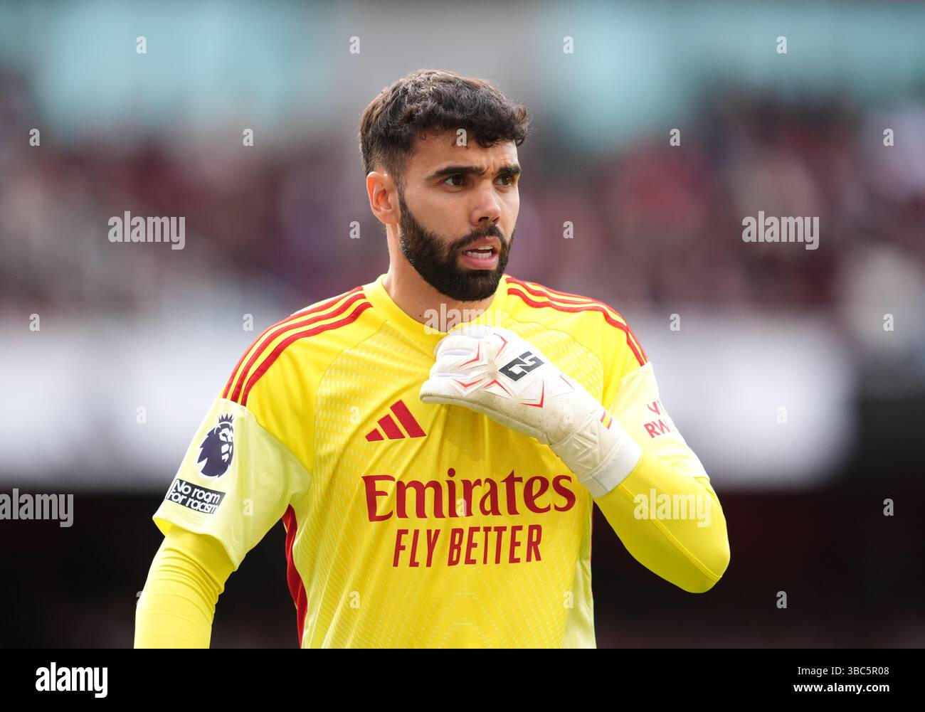 Arsenal goalkeeper David Raya during the Premier League match at ...