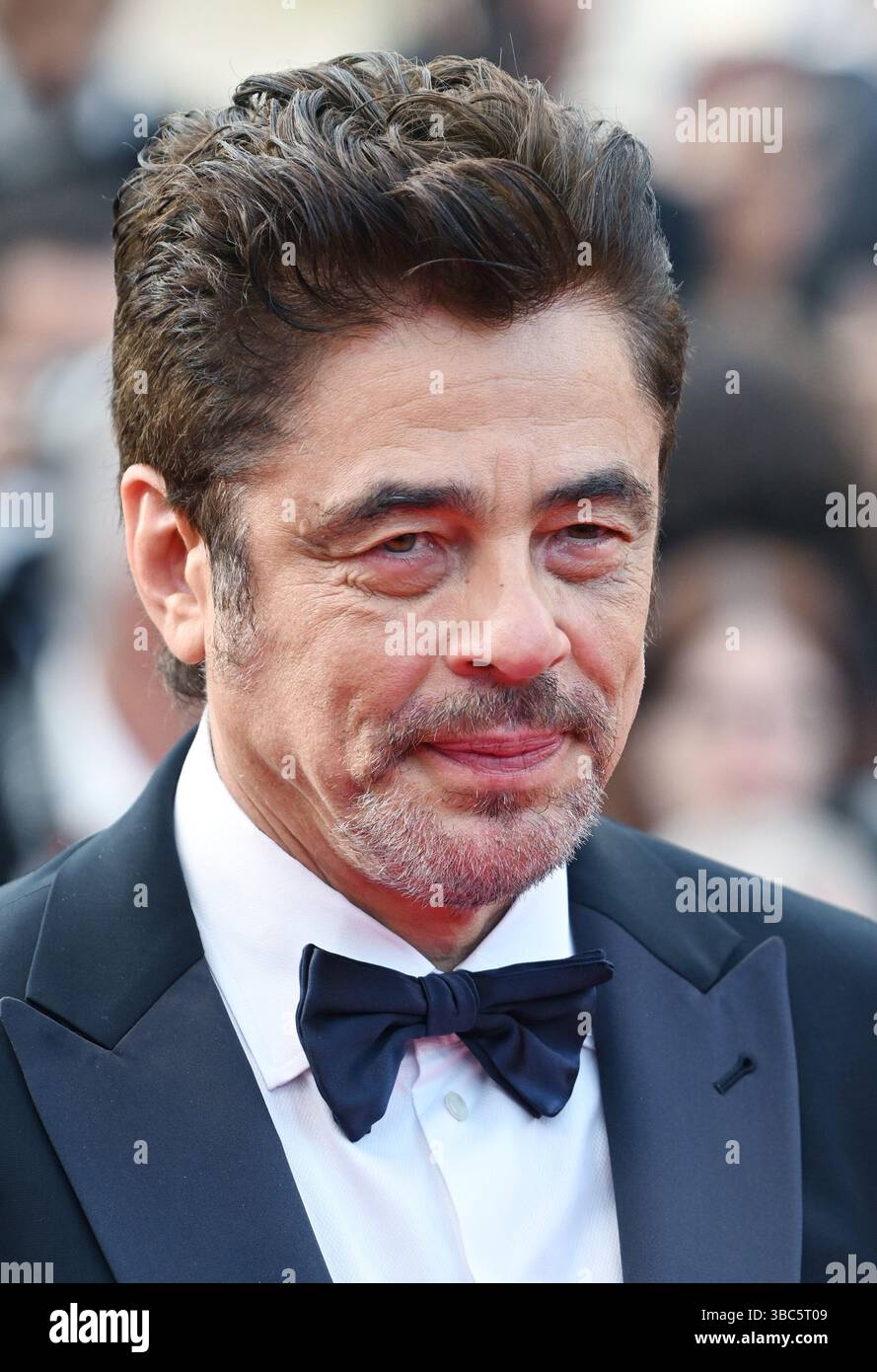 Cannes, France. 18th May, 2025. American actor Benicio Del Toro attends ...