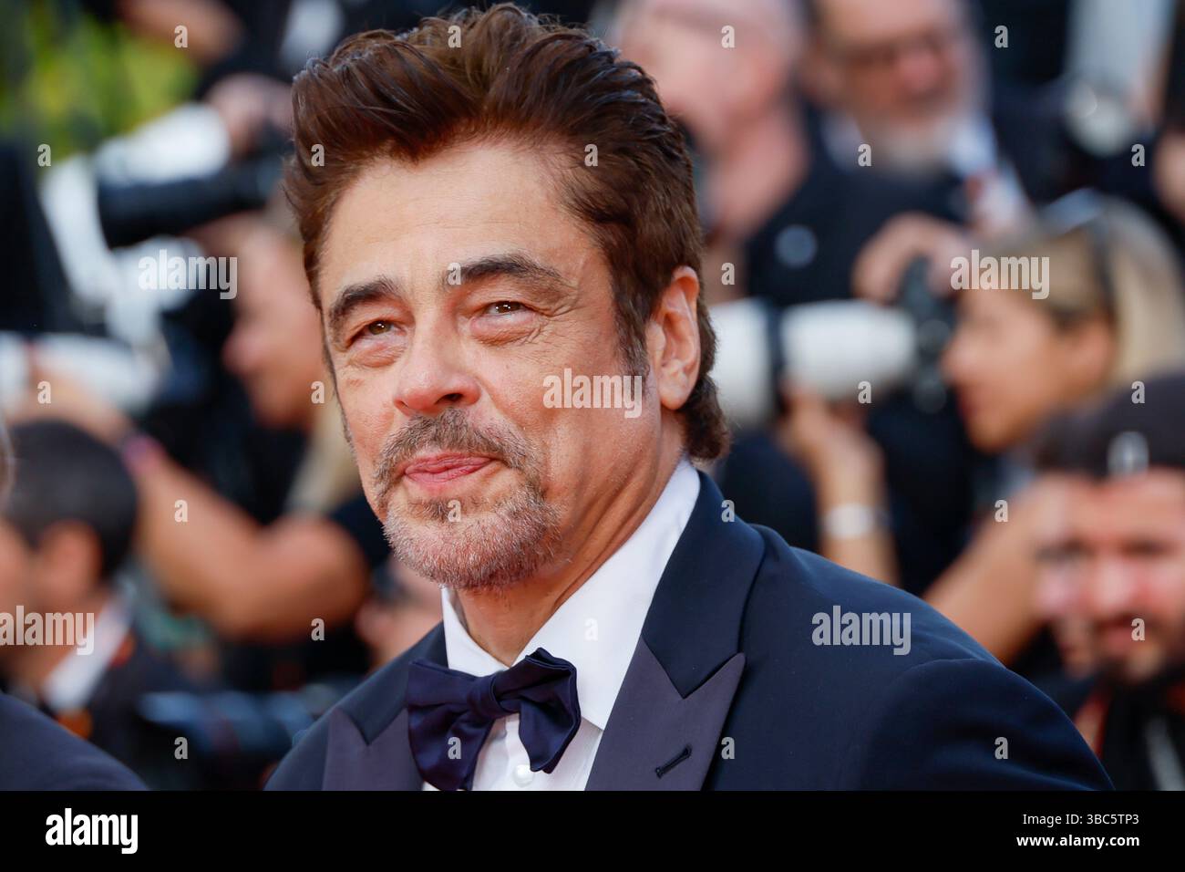 Benicio del Toro poses for photographers upon arrival at the premiere ...