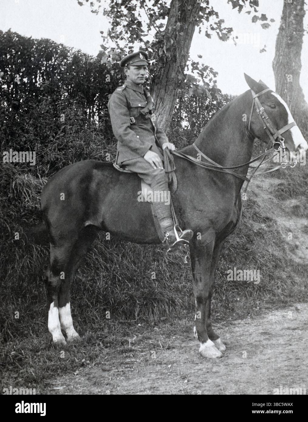 Military remount service hi-res stock photography and images - Alamy