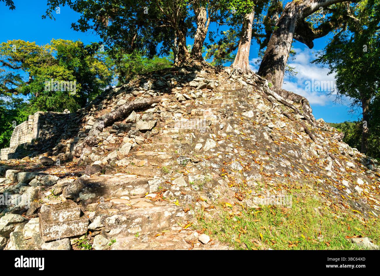 Ancient ruins of Temple 11 at the Maya Archaeological Site of Copan. UNESCO world heritage in ...