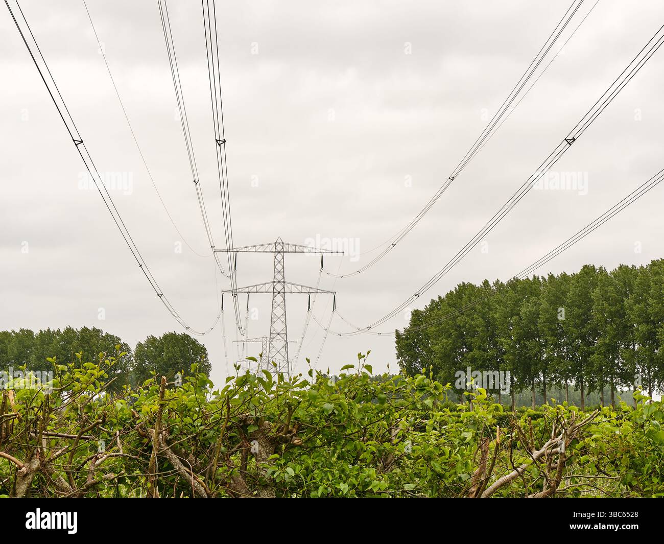Steel power pylons and high voltage transmission lines above a fruit ...