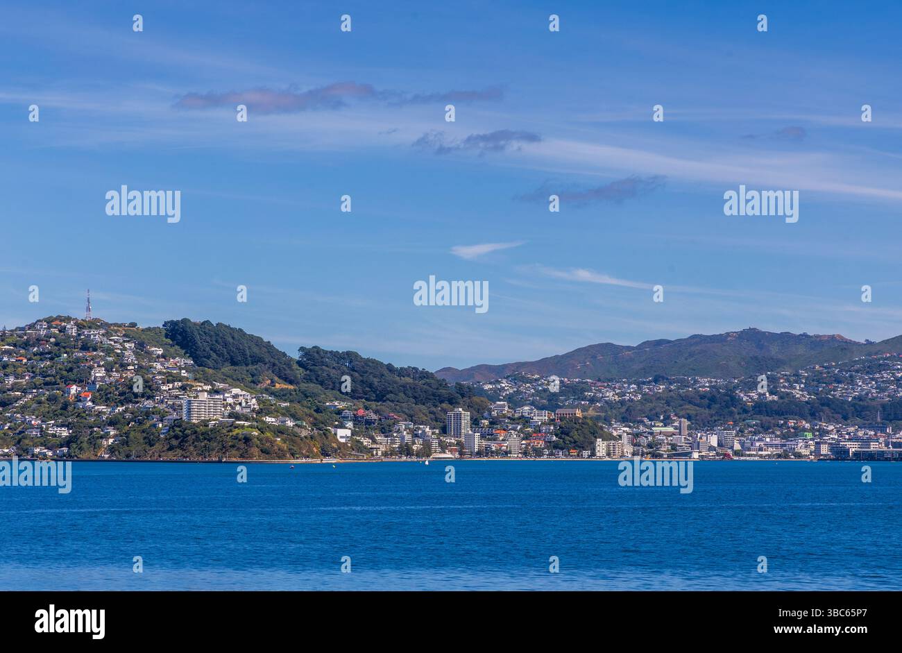 Wellington, New Zealand - city skyline. Modern architecture. The view ...