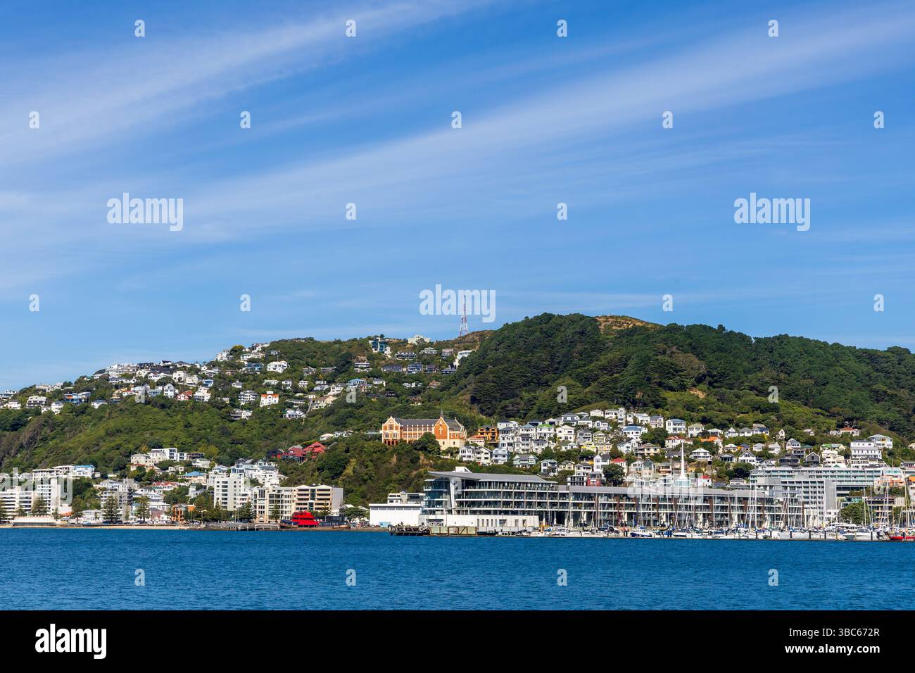 Wellington, New Zealand - city skyline. Modern architecture. The view ...