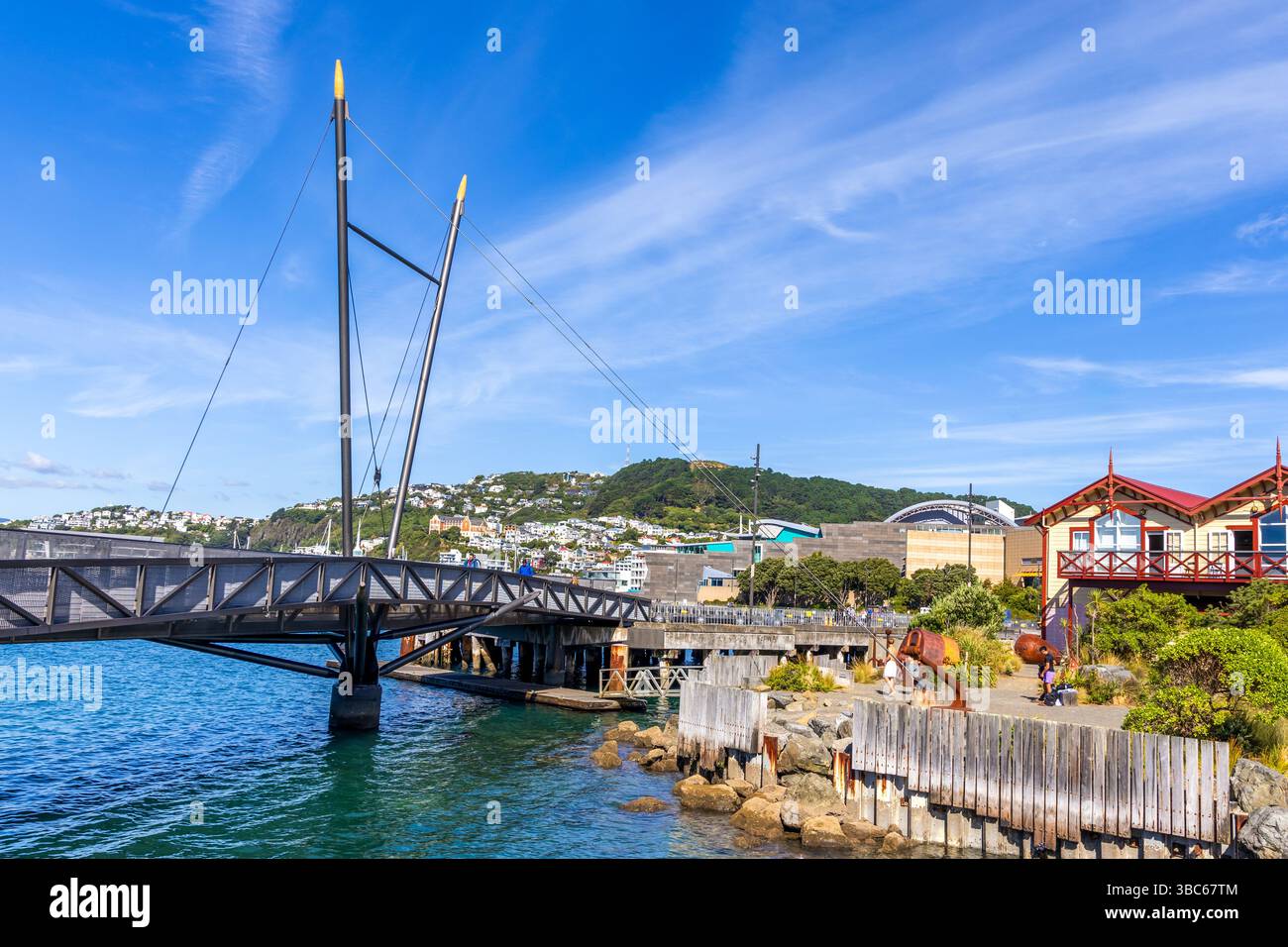 Cityscape of Wellington capital city of New Zealand Stock Photo - Alamy