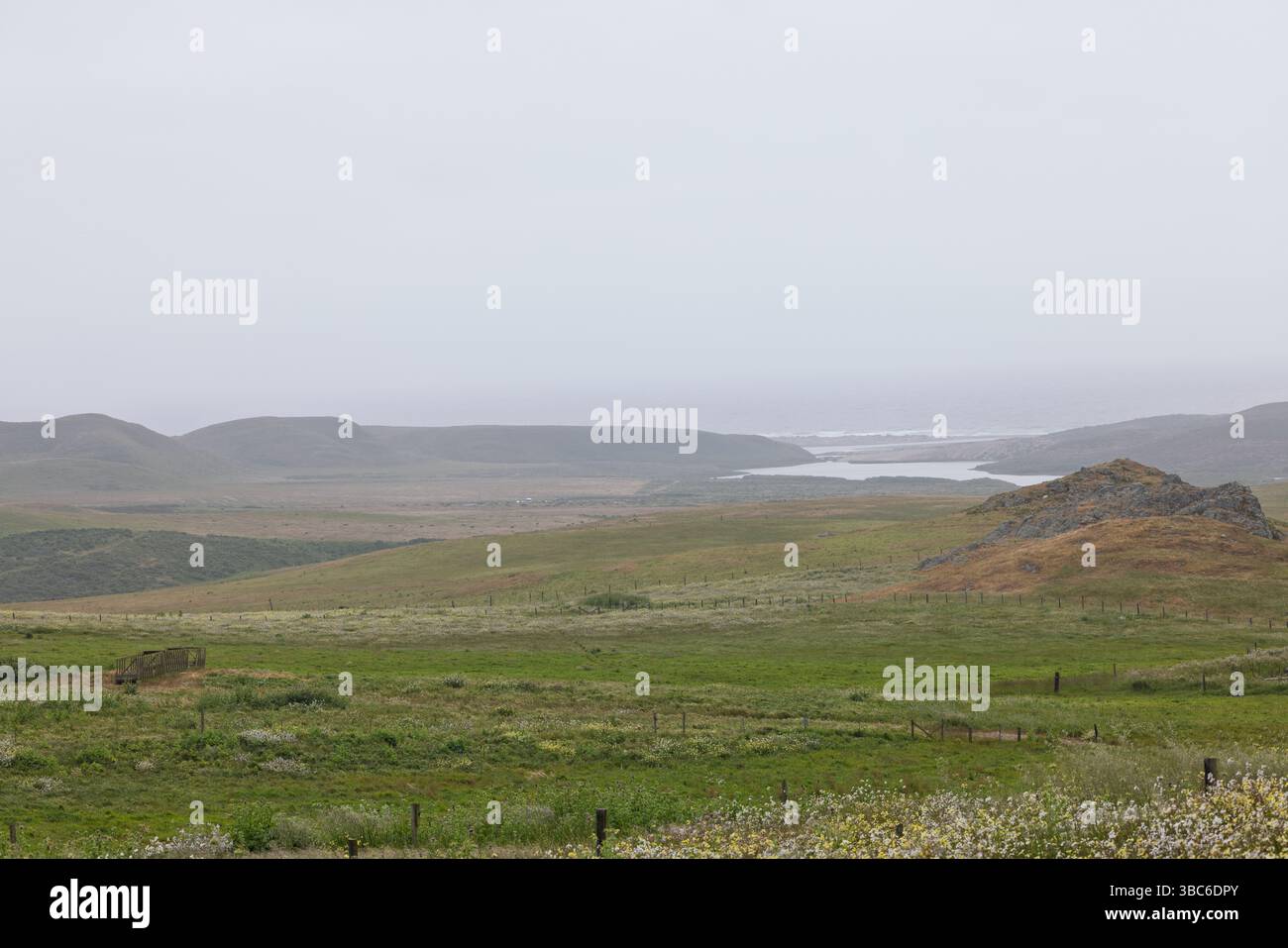 For the first time in 150 years, Point Reyes will be almost empty of ...
