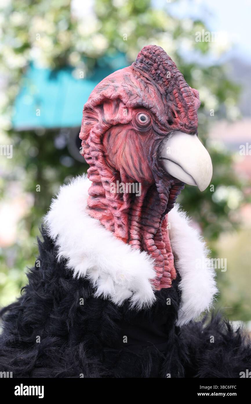 Cannes, France. 18th May, 2025. A condor film mascot during the 'I Love ...