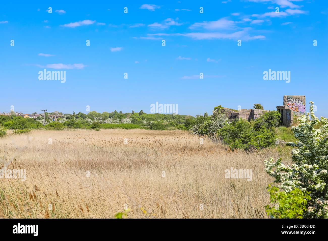 Grain Fort was one of a number of forts built to defend the Thames ...
