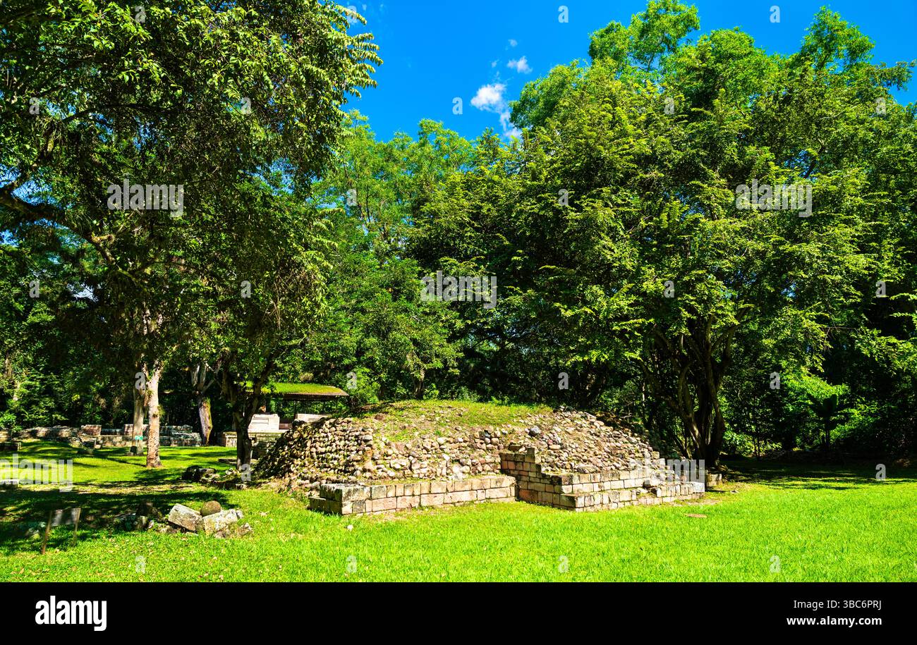 Small, partially excavated Maya platform at the las Sepulturas complex ...