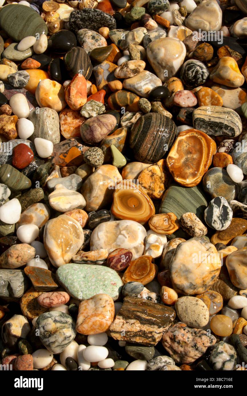 Pebble and shell Coolage Stock Photo - Alamy