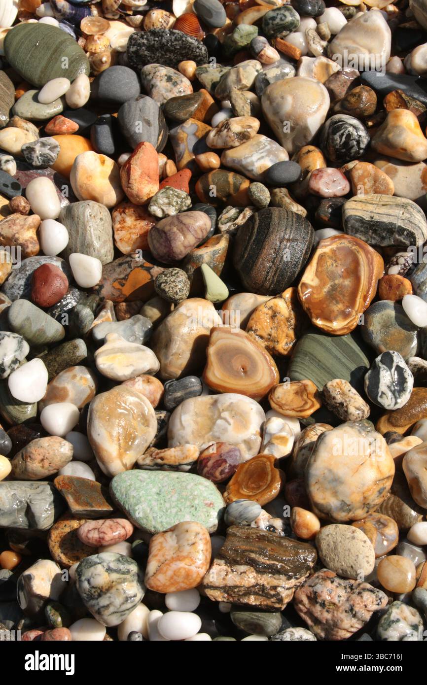 Pebble and shell Coolage Stock Photo - Alamy