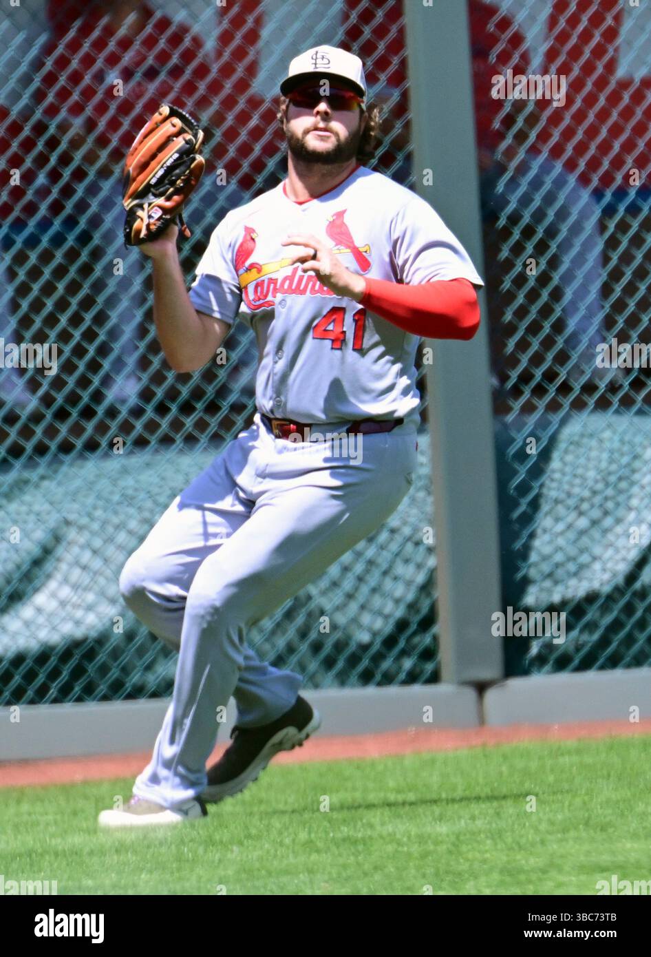 KANSAS CITY, MO - MAY 18: St. Louis Cardinals designated hitter Alex ...