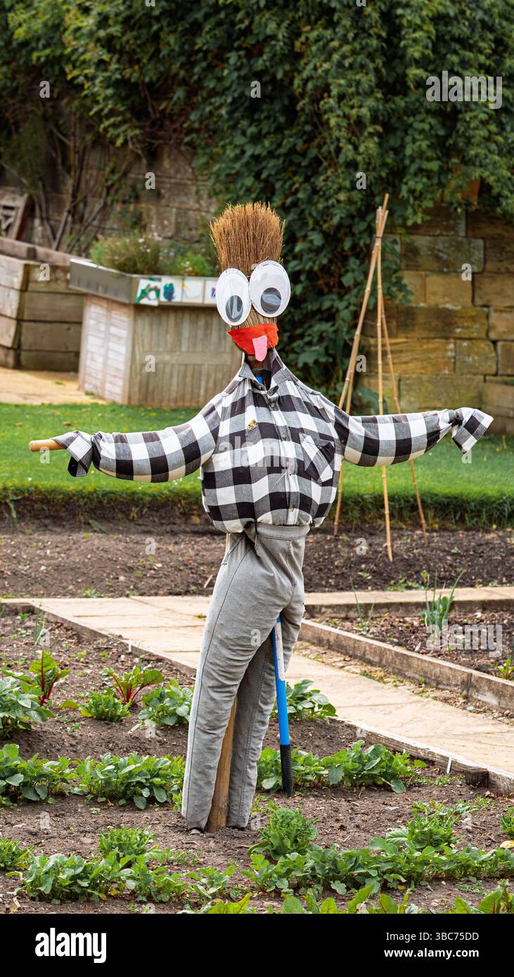 Various scare crows in walled vegetable garden May 2025 Stock Photo - Alamy