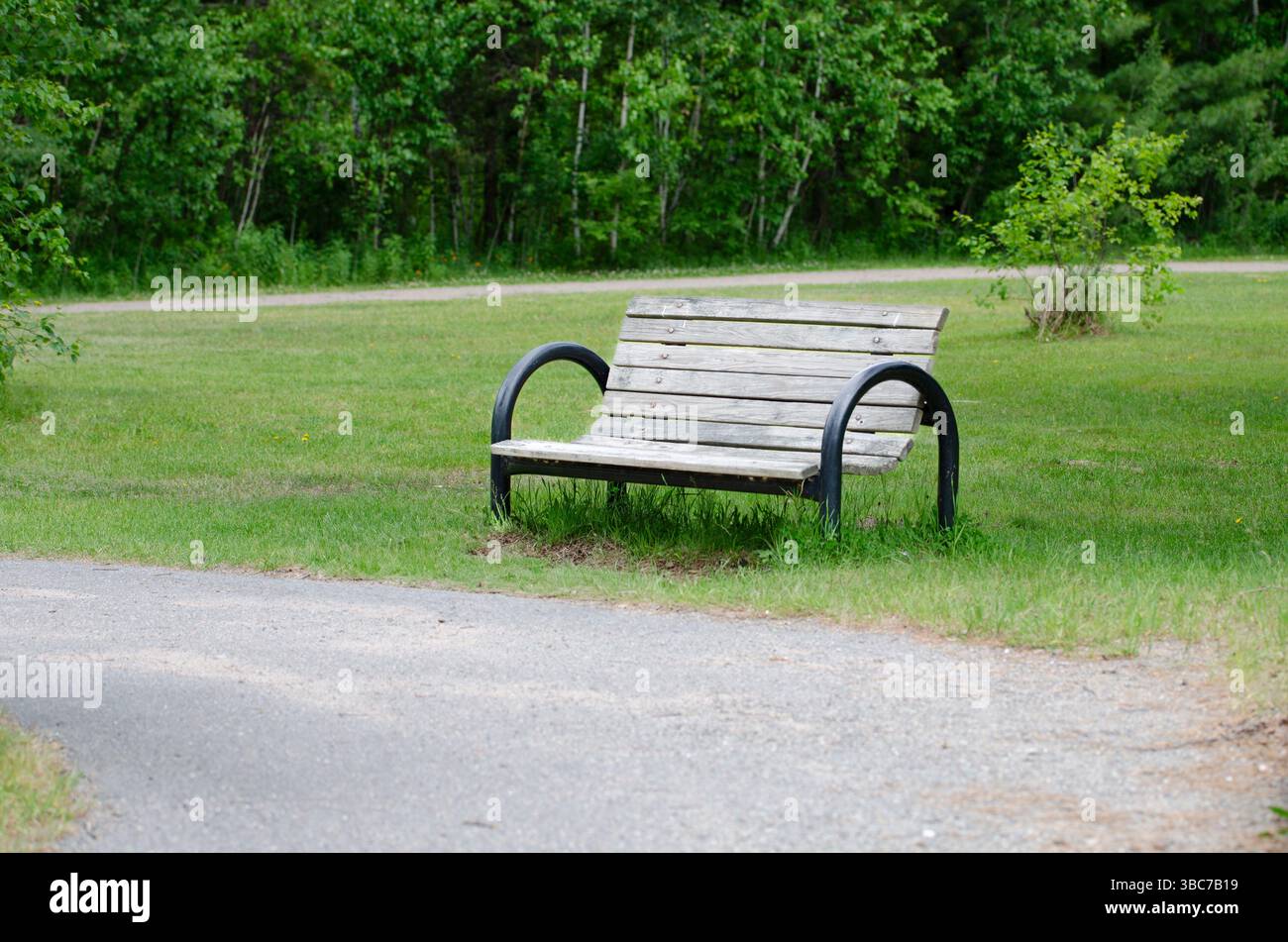 Empty Park Bench Along a Paved Path with Forest in Background Stock ...