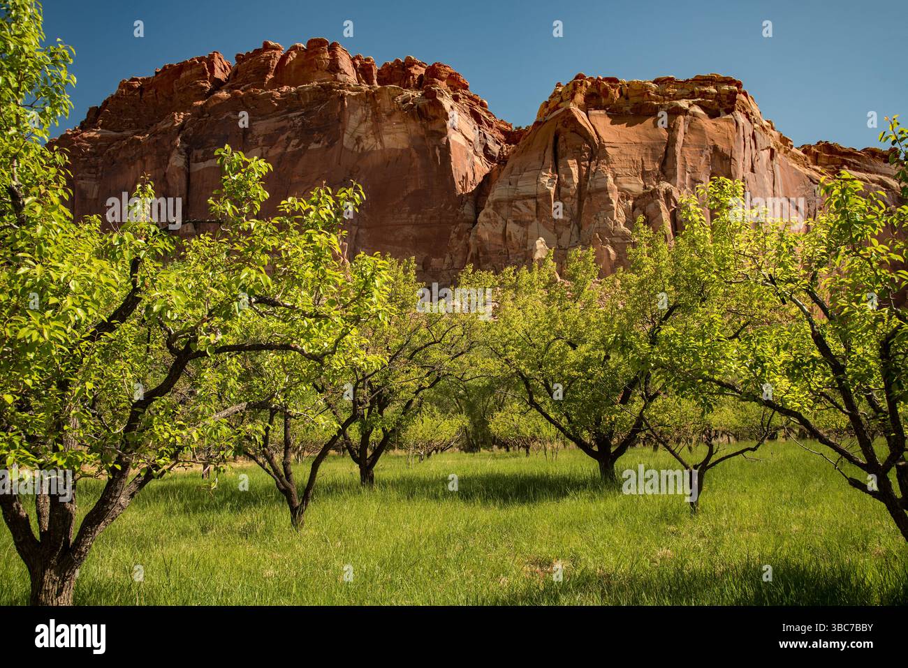 The beautiful and unique community of Fruita Utah. A pioneer community ...