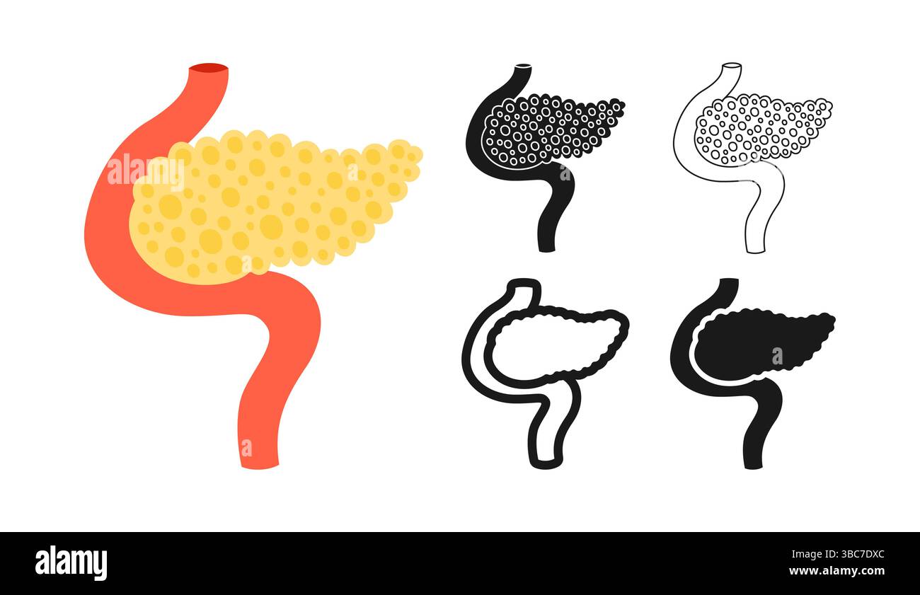 Human pancreas symbol set. Anatomical digestion organ pancreas icon on ...