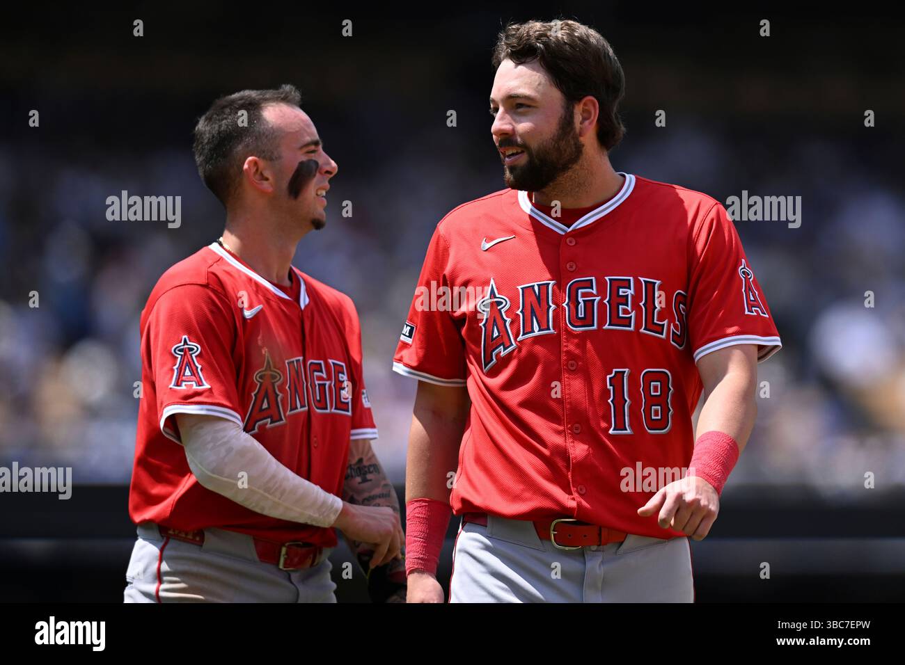 LOS ANGELES, CA - MAY 18: Los Angeles Angels Zach Neto (9) Nolan ...