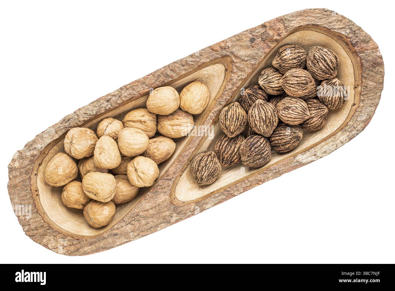 English and black walnuts in a mango wood split tray with bark edges ...