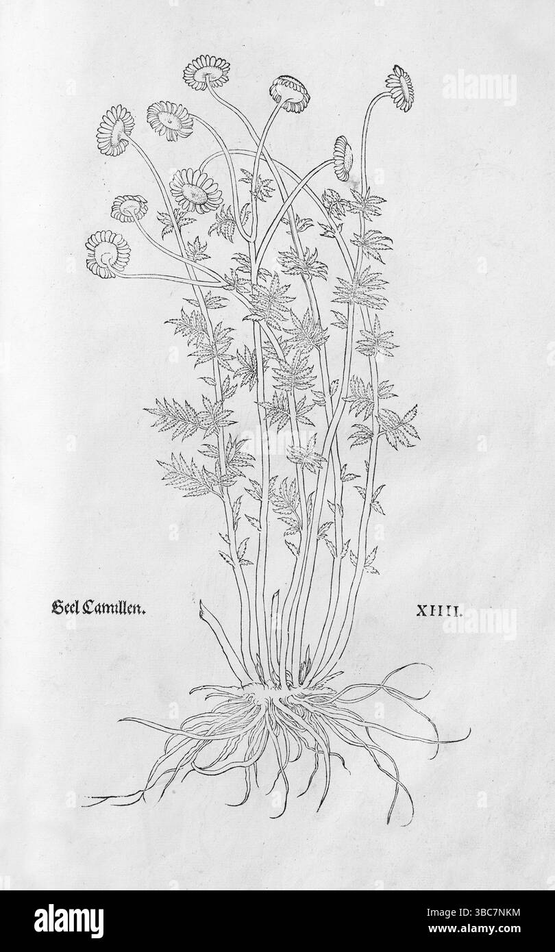 Michael leonhart Black and White Stock Photos & Images - Alamy