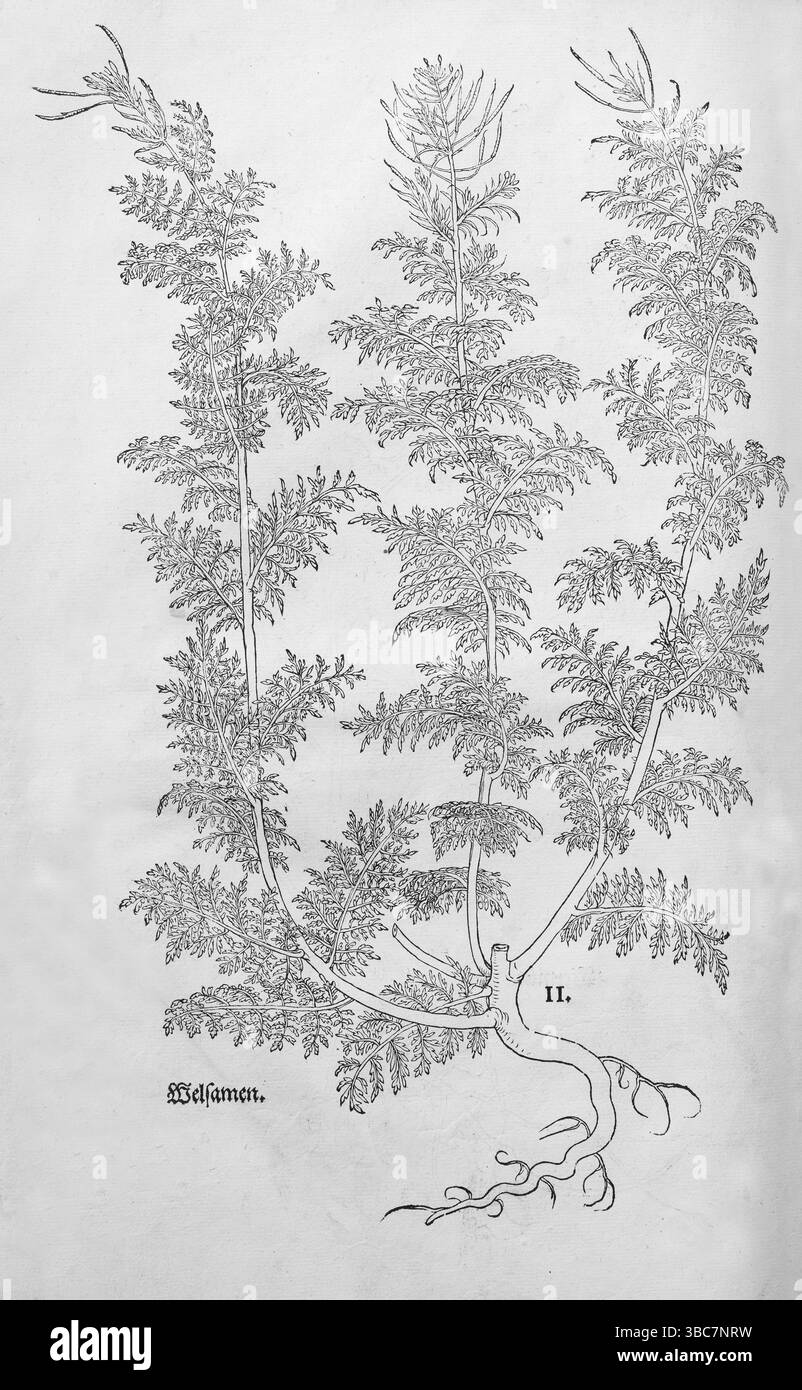 Michael leonhart Black and White Stock Photos & Images - Alamy