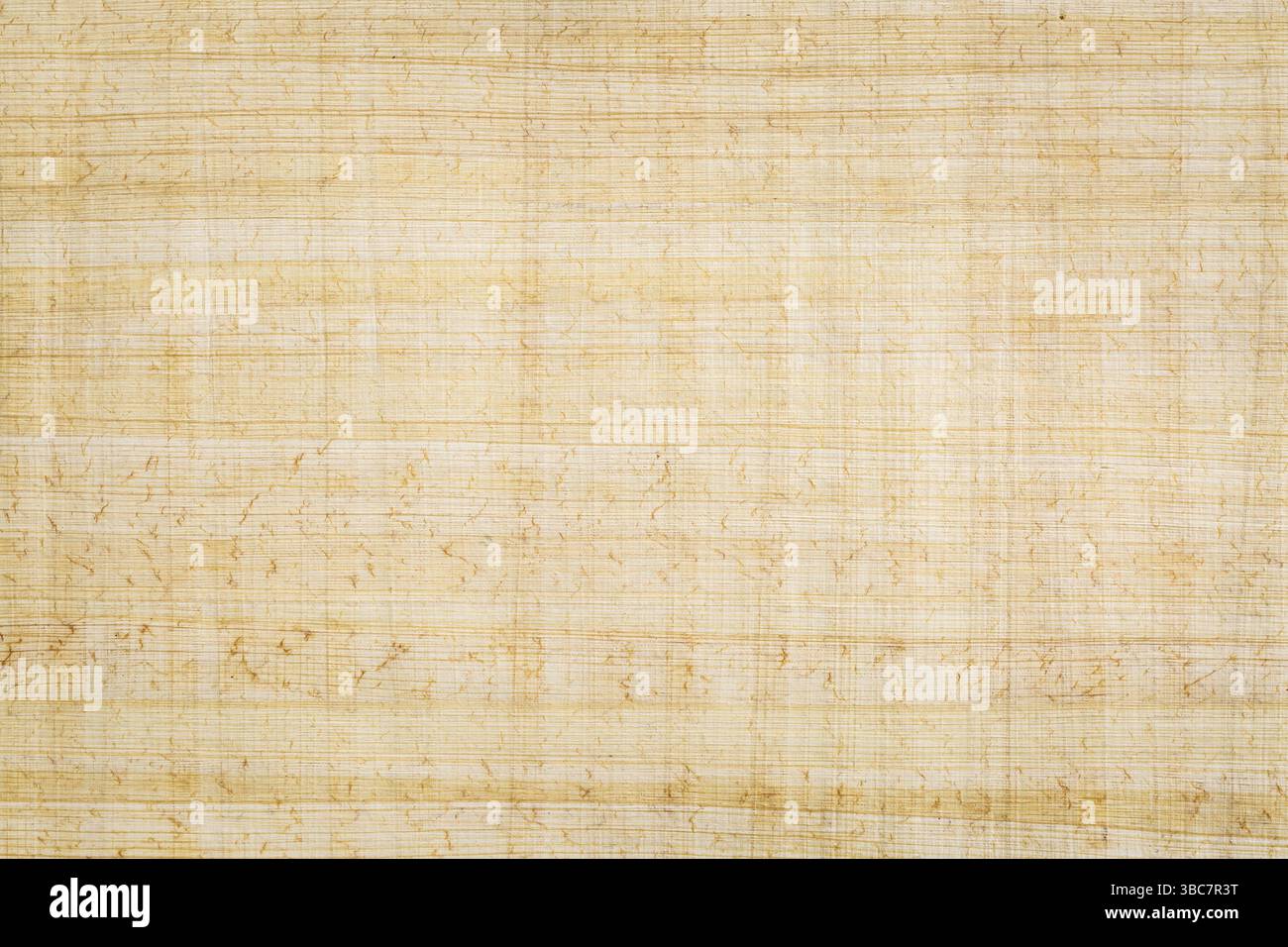 Egyptian papyrus paper background. Papyrus, a renewable plant resource ...