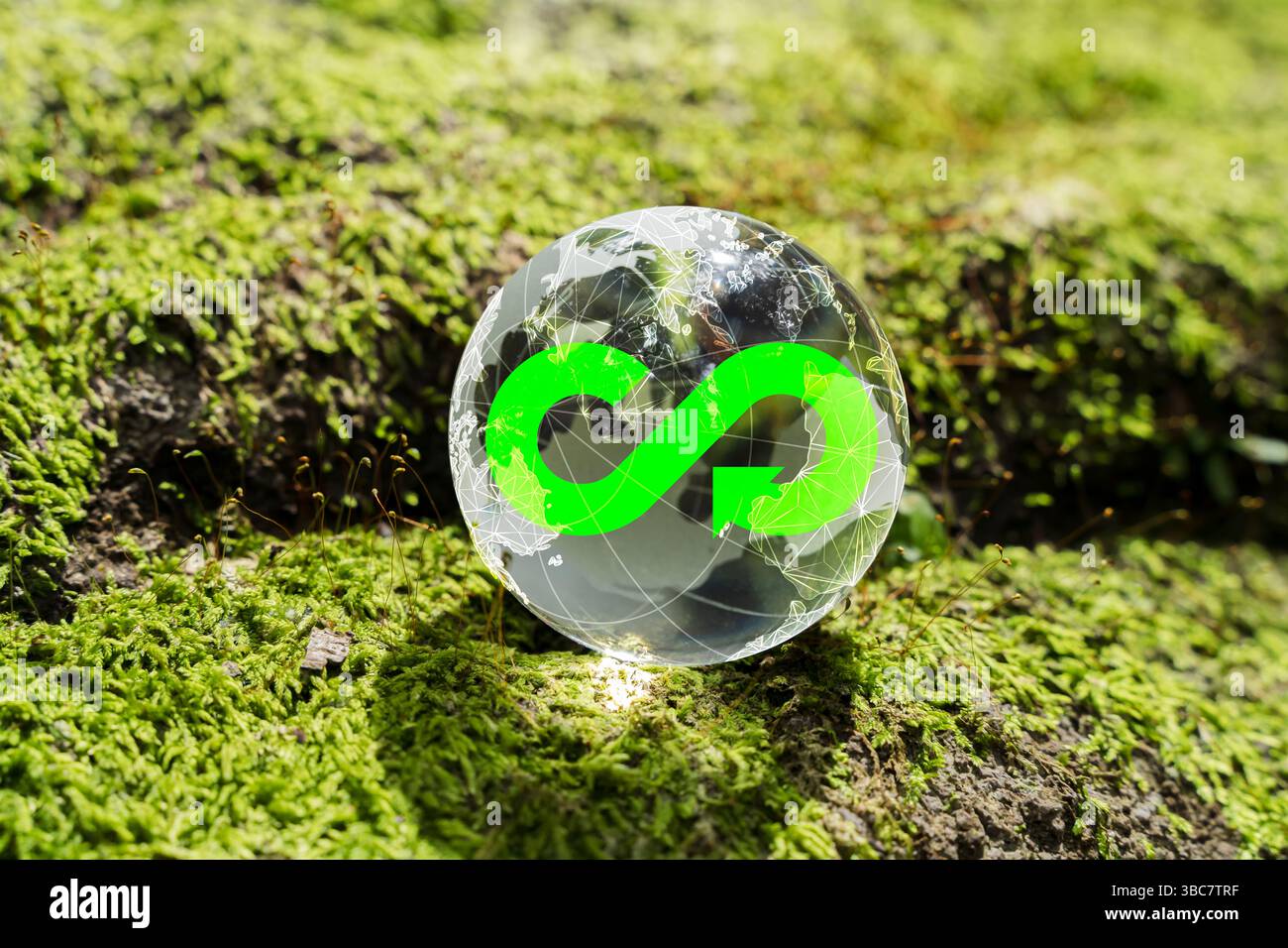 Transparent globe with green circular economy icon placed on mossy ...