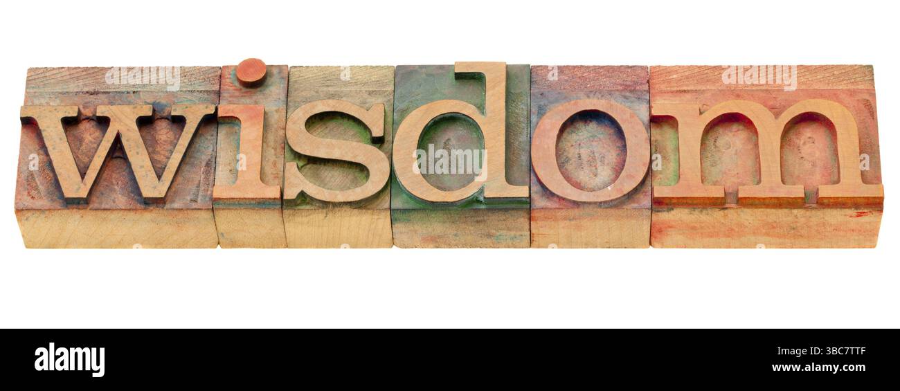 Wisdom - isolated word in vintage wood letterpress printing blocks ...