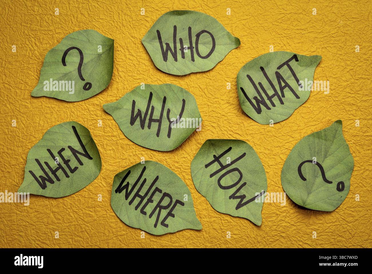 Why, who, what, when, where, how brainstorming or decision making ...