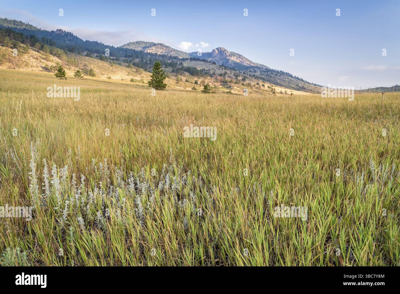 Summer scenery of Rocky Mountains foothills, Lory State Park in ...