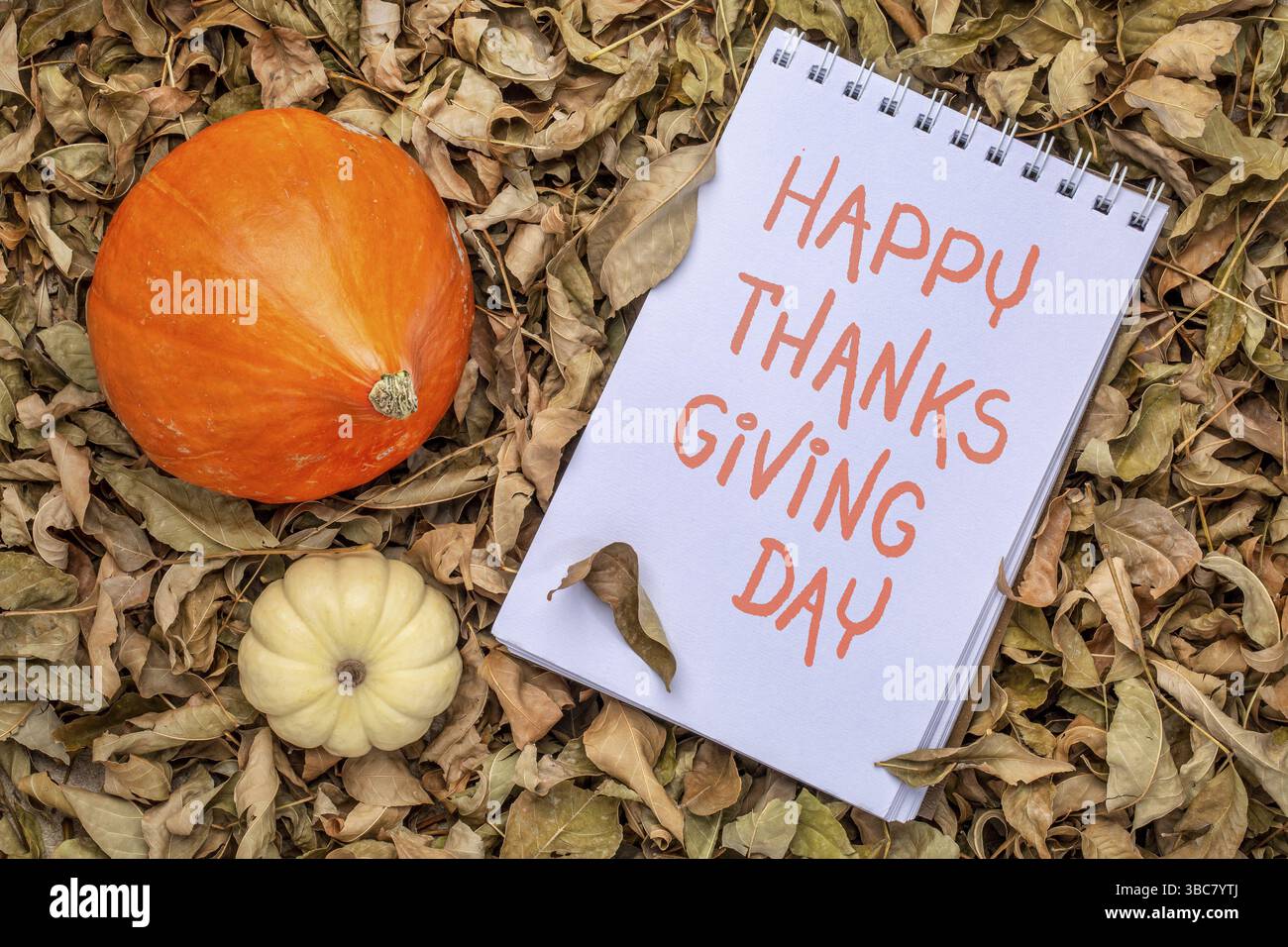 Happy Thanksgiving day - handwriting on a art sketchbook against dry ...