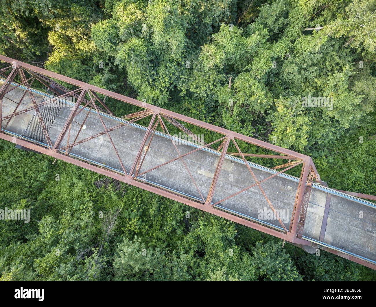 Aerial view of an old bridge against green trees (Old Chain of Rocks ...