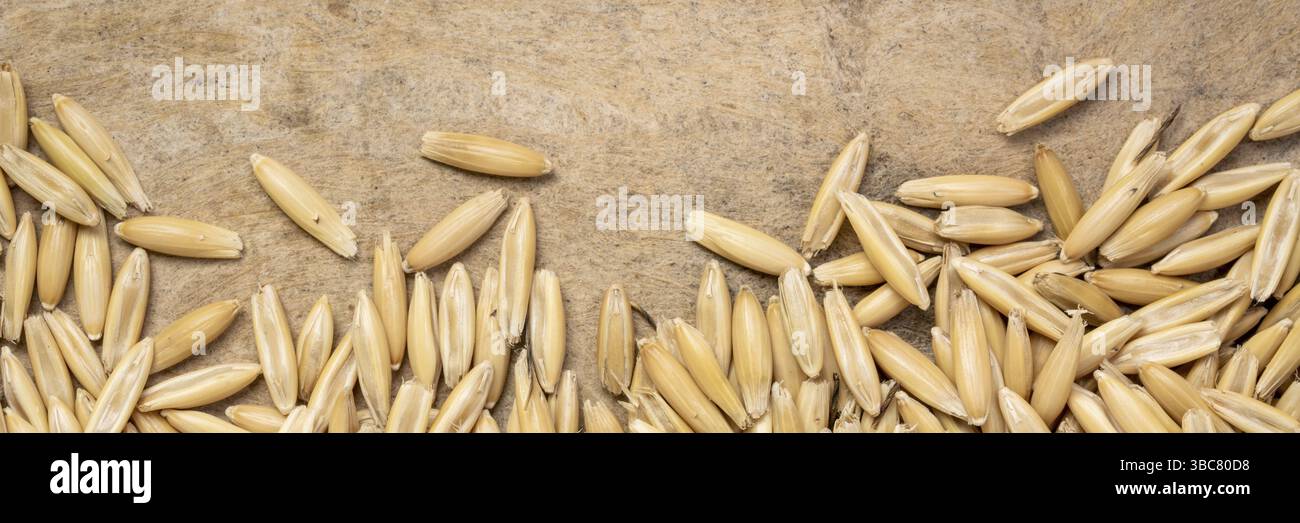 Macro shot of oats (organic, whole groats) against textured bark paper ...
