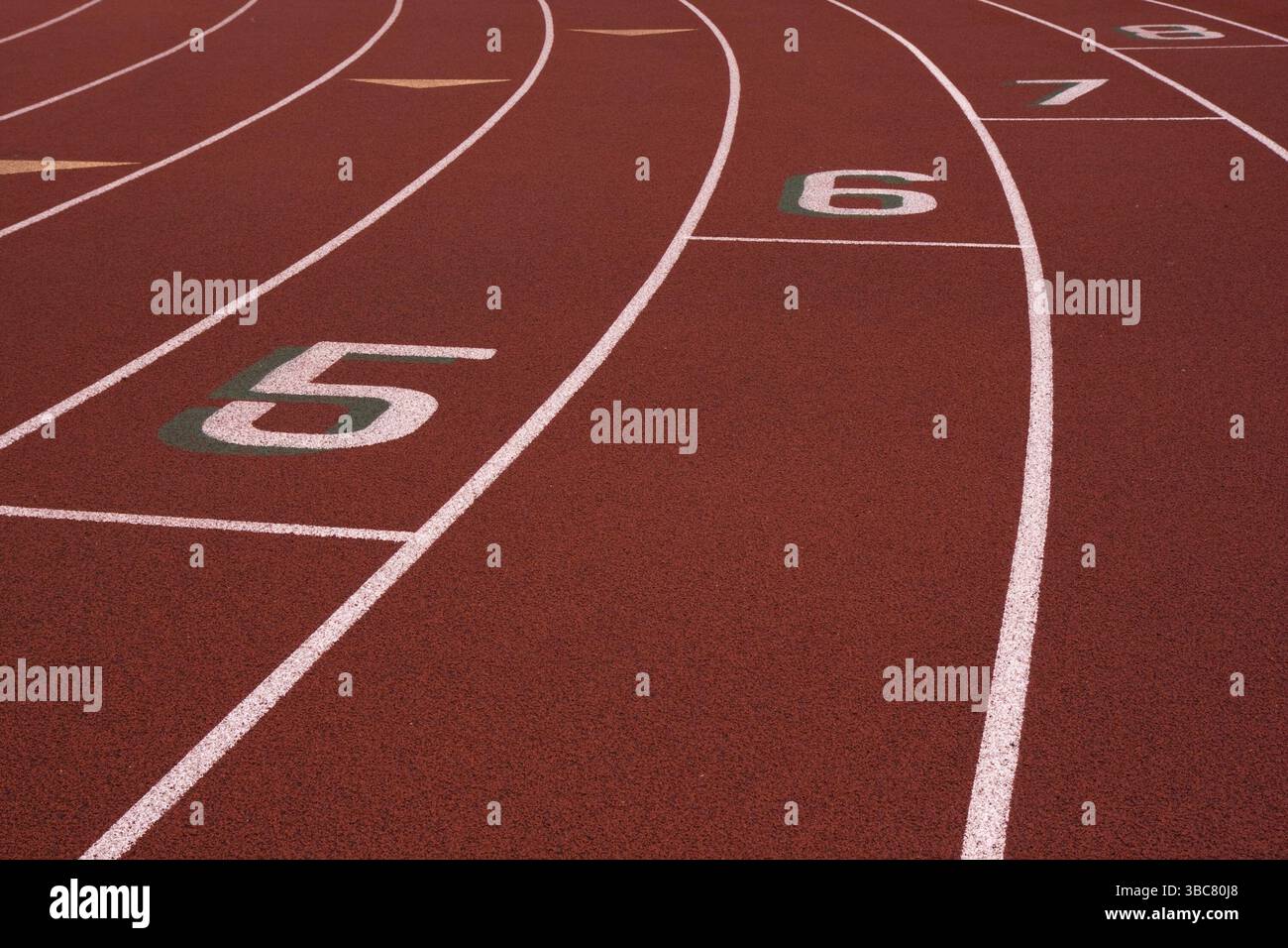 Red running tracks with lane numbers from 5 to 8 at the staggered start line Stock Photo - Alamy