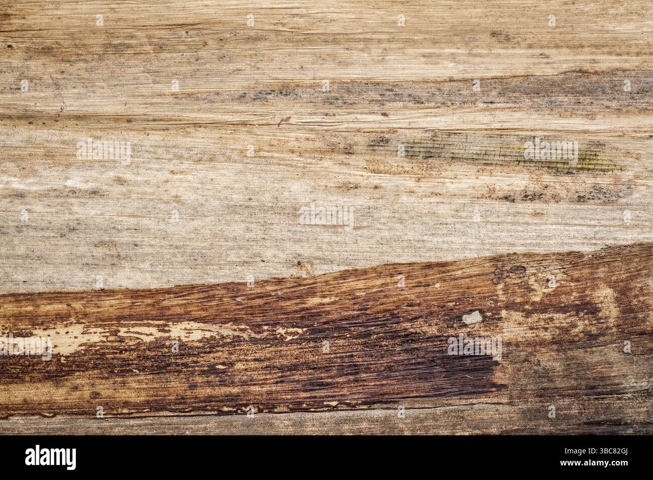 Thai banana paper background, Banana Plank Paper is created by piecing ...