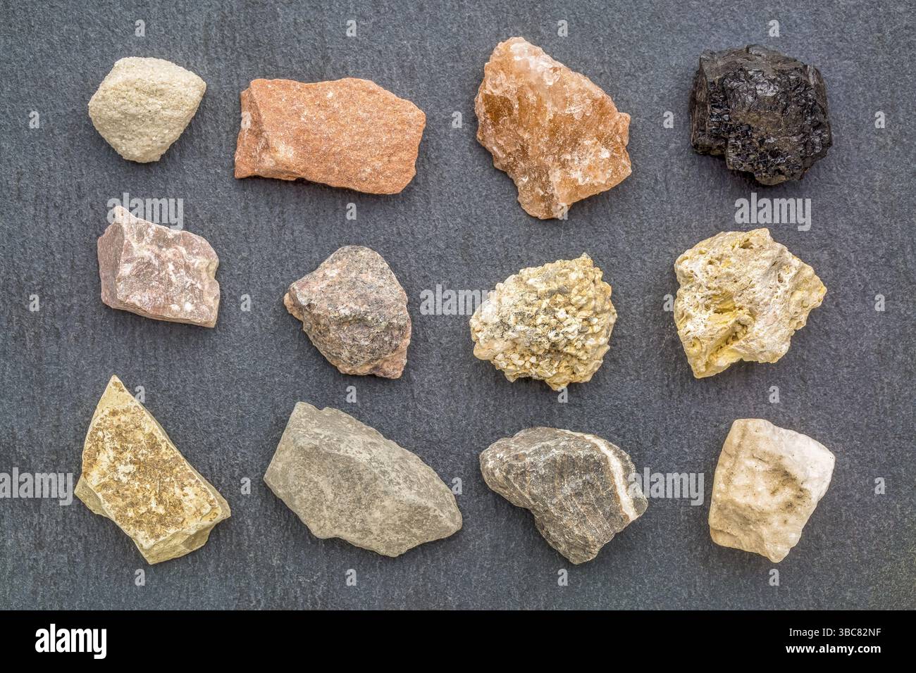 Sedimentary rock geology collection, from top left: siltstone ...