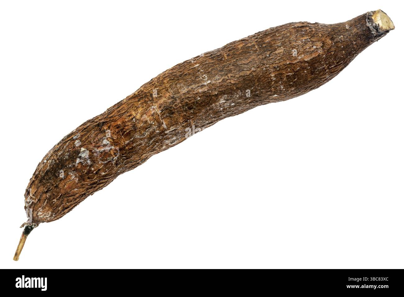 Manioc cassava Cut Out Stock Images & Pictures - Alamy