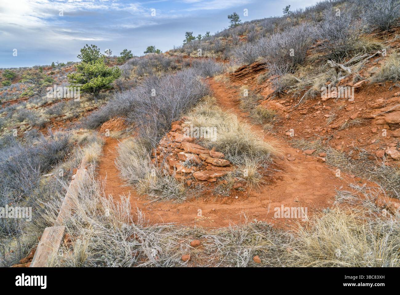 Mountain trail with switchbacks in Red Mountain Open Space in northern ...