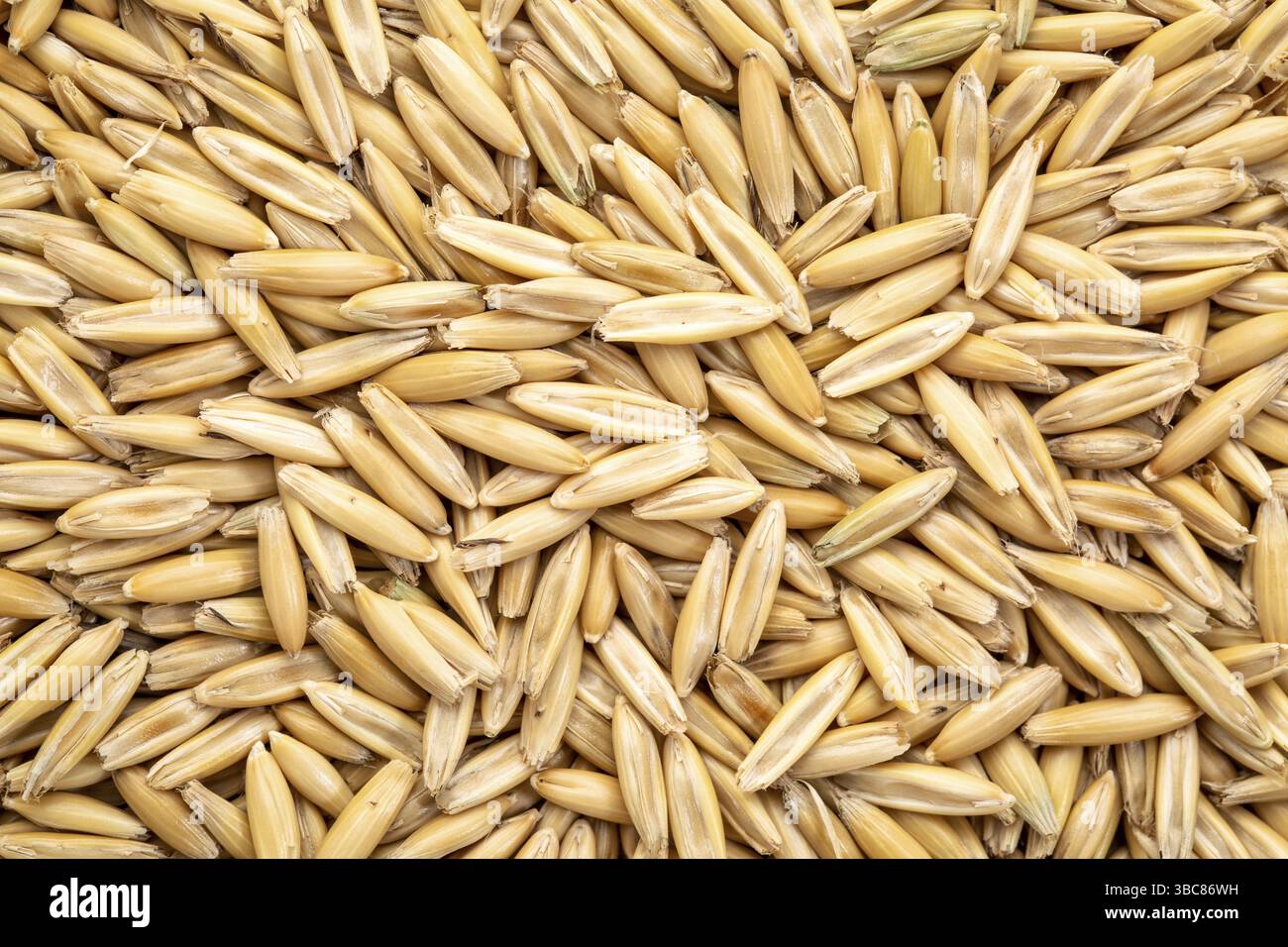 Macro shot of oats (organic, whole groats) background Stock Photo - Alamy