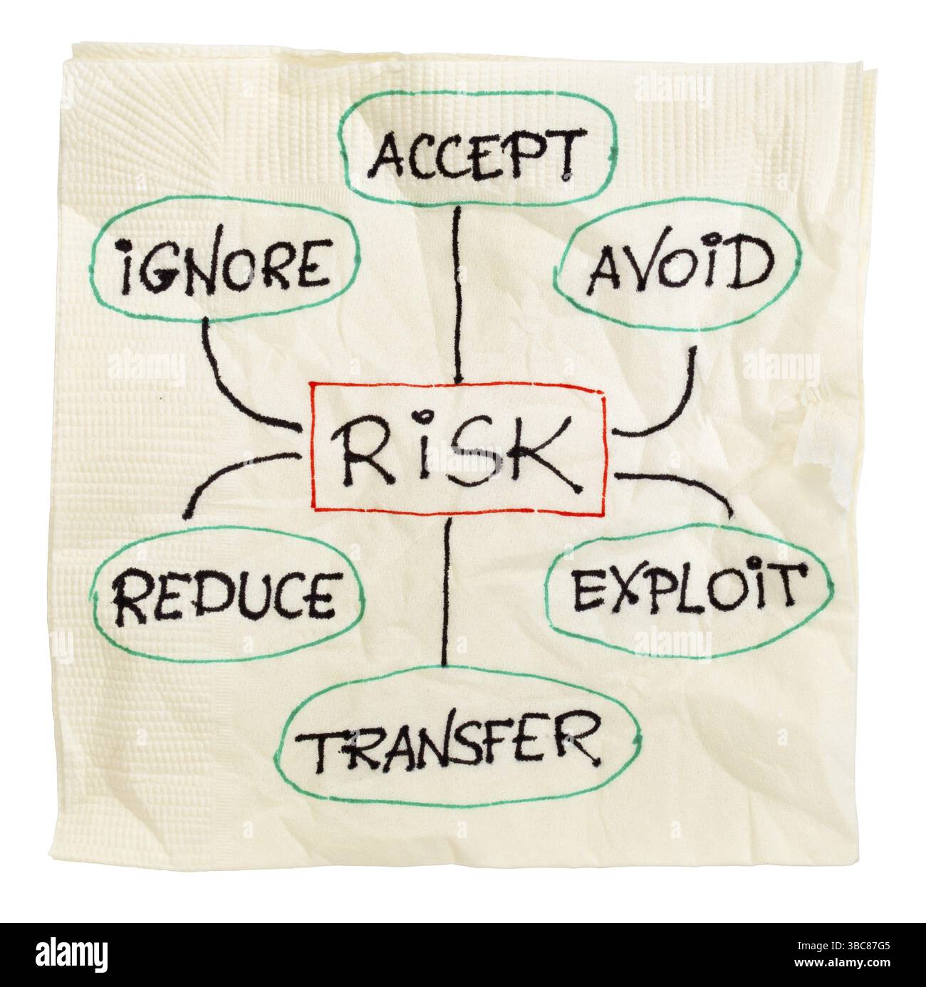 Risk management strategies - ignore, accept, avoid, reduce, transfer ...