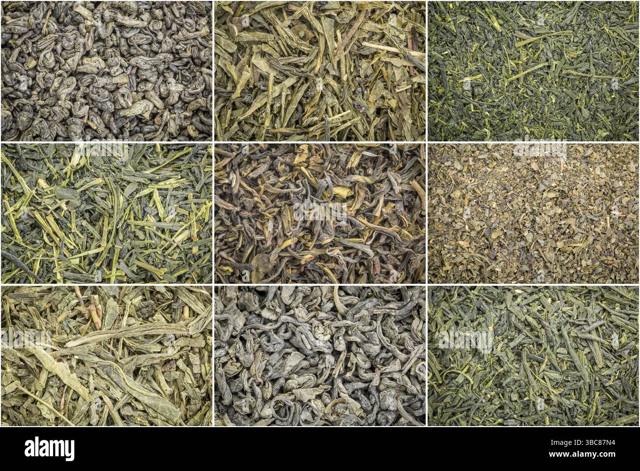 Collage of nine loose leaf green tea background and texture, clockwise ...