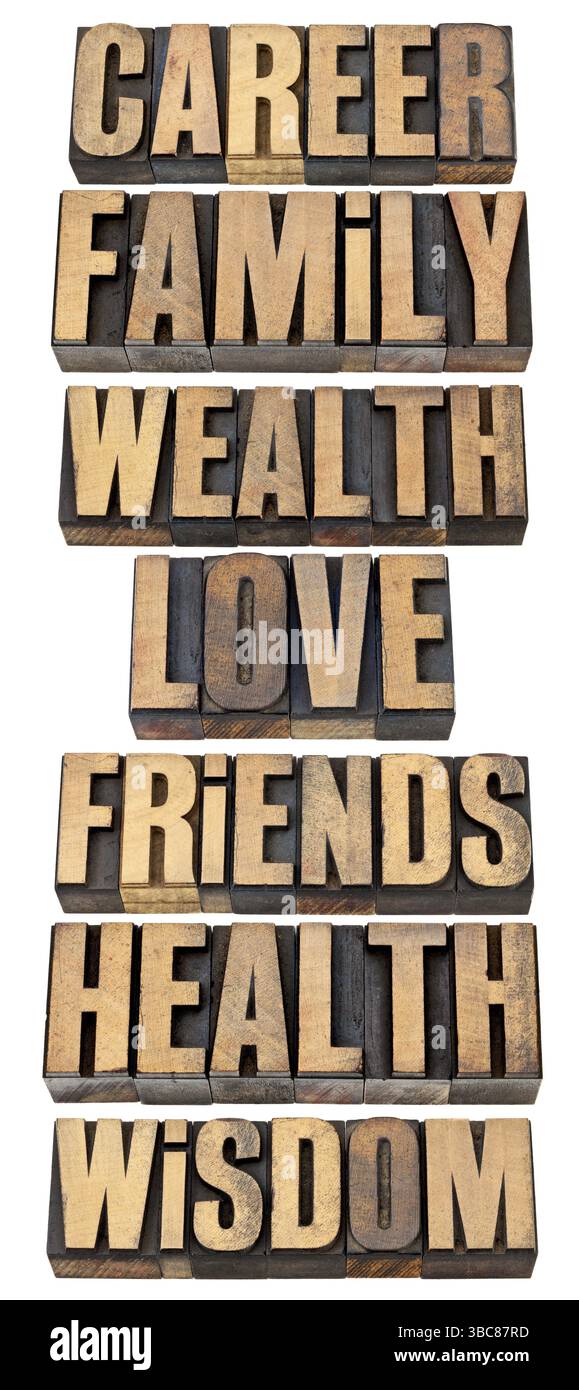 List or hierarchy of popular life values - career, family, wealth, love ...