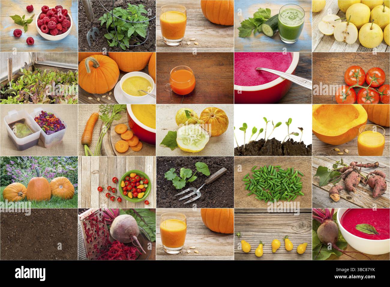 Gardening and healthy eating theme - fruits, vegetables, juice and ...