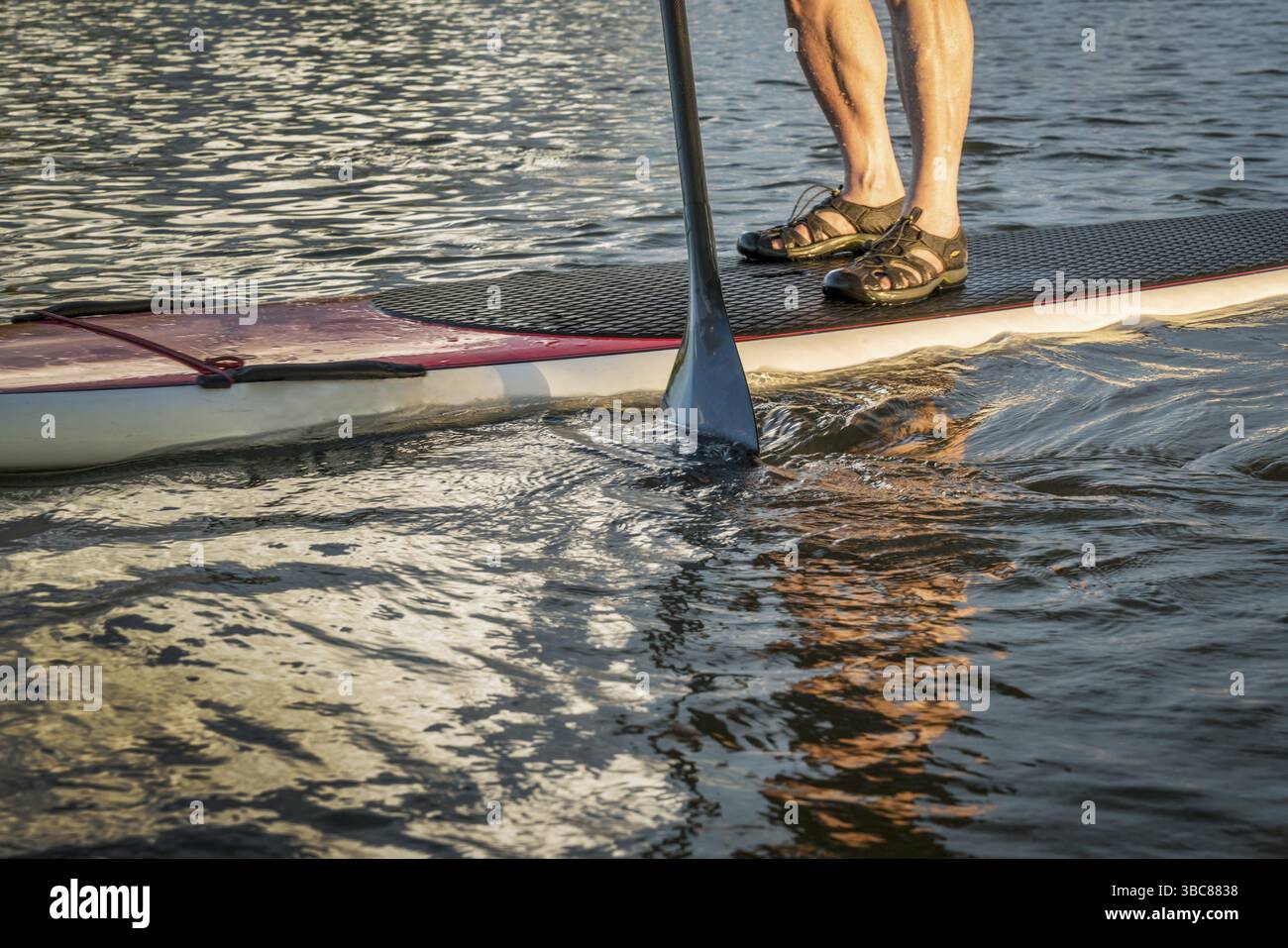 Stand up paddling abstract - male feet on a paddleboard Stock Photo - Alamy