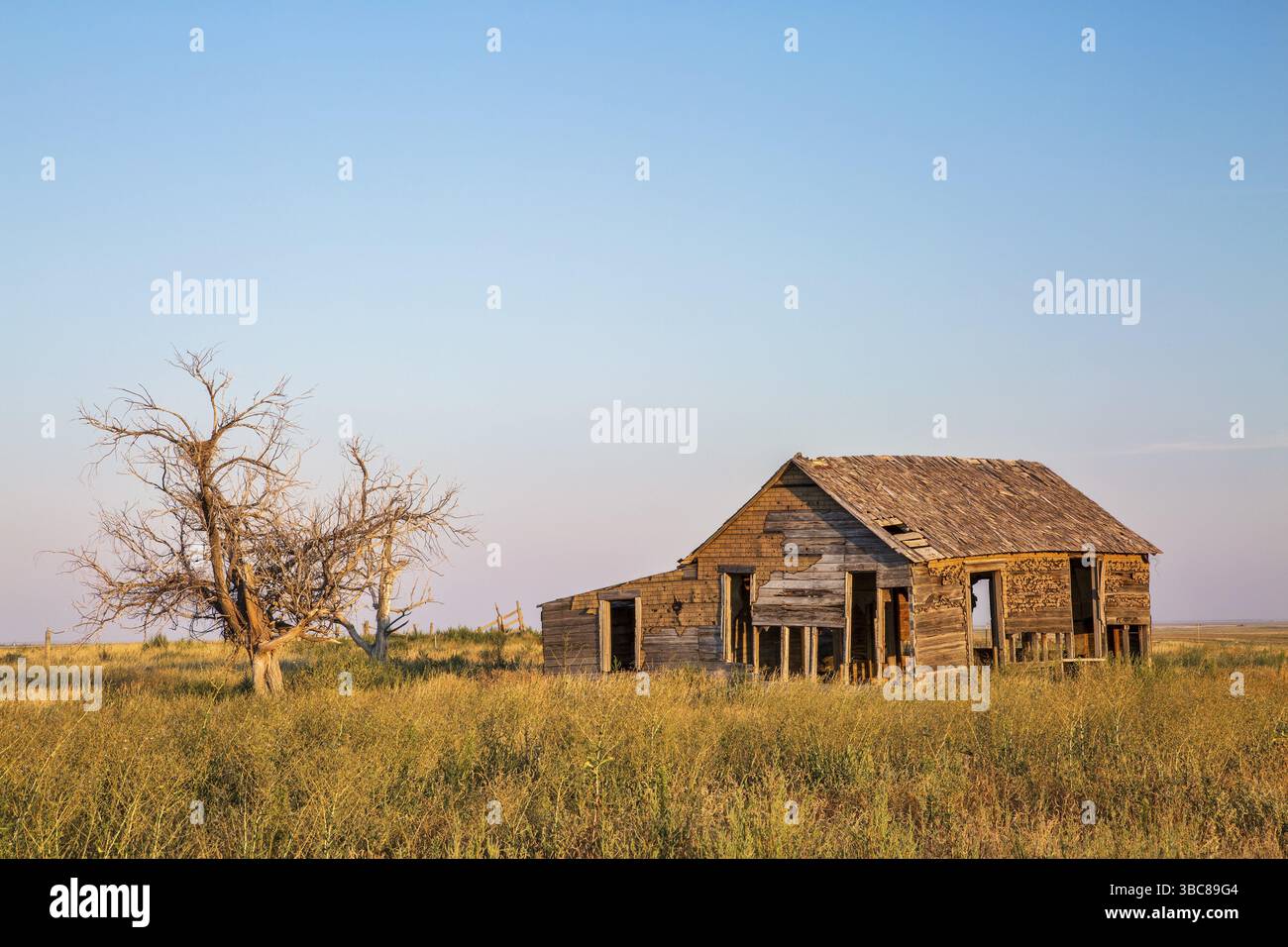Old abandoned homestead with hawk nests on eastern Colorado prairie ...