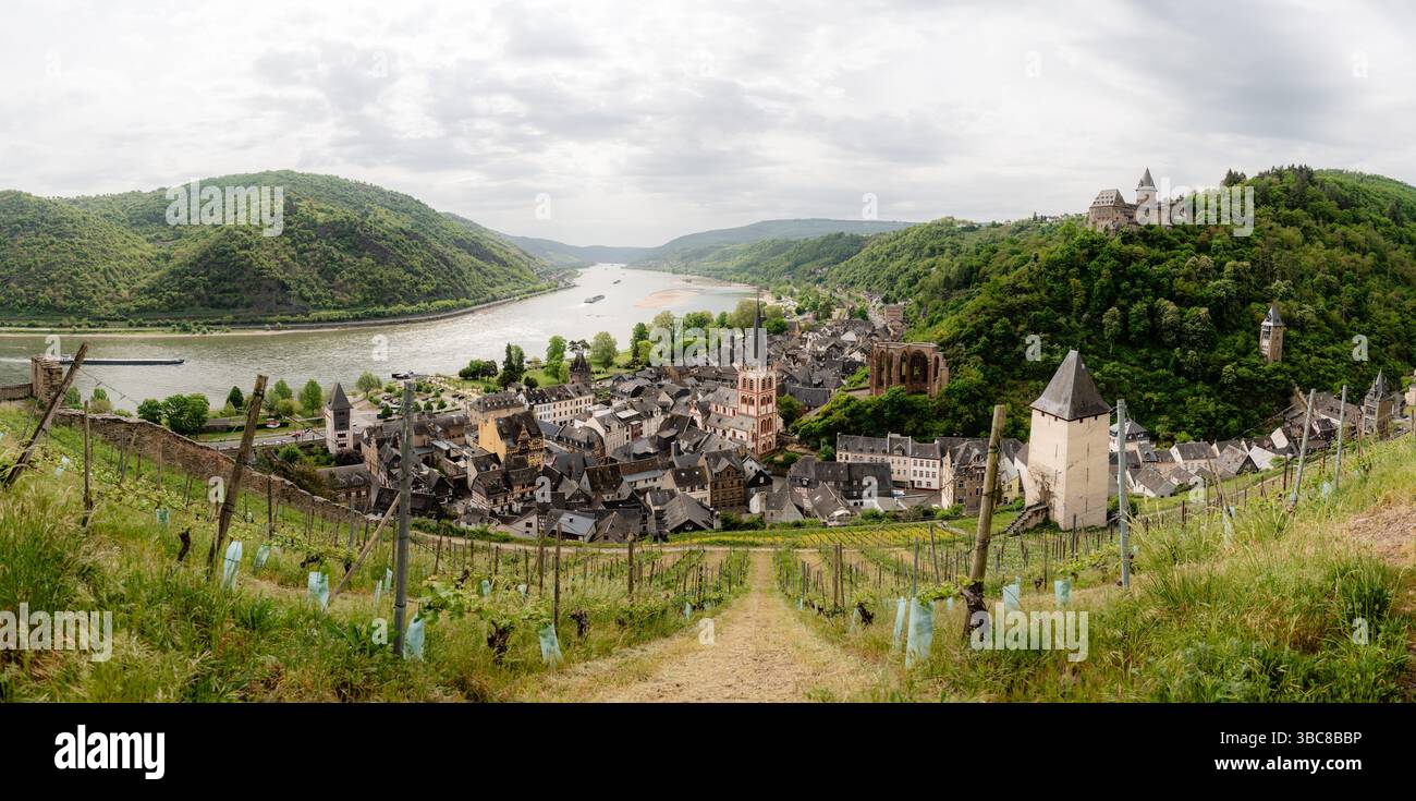 Scenic panorama of Bacharach, Germany, from a vineyard viewpoint. Shows ...