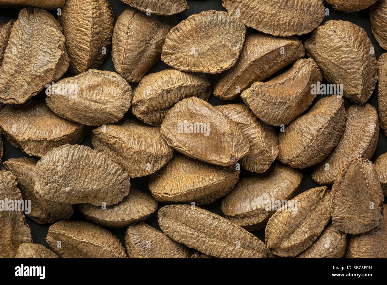 Brazilian nuts in shells against dark background, superfood concept ...