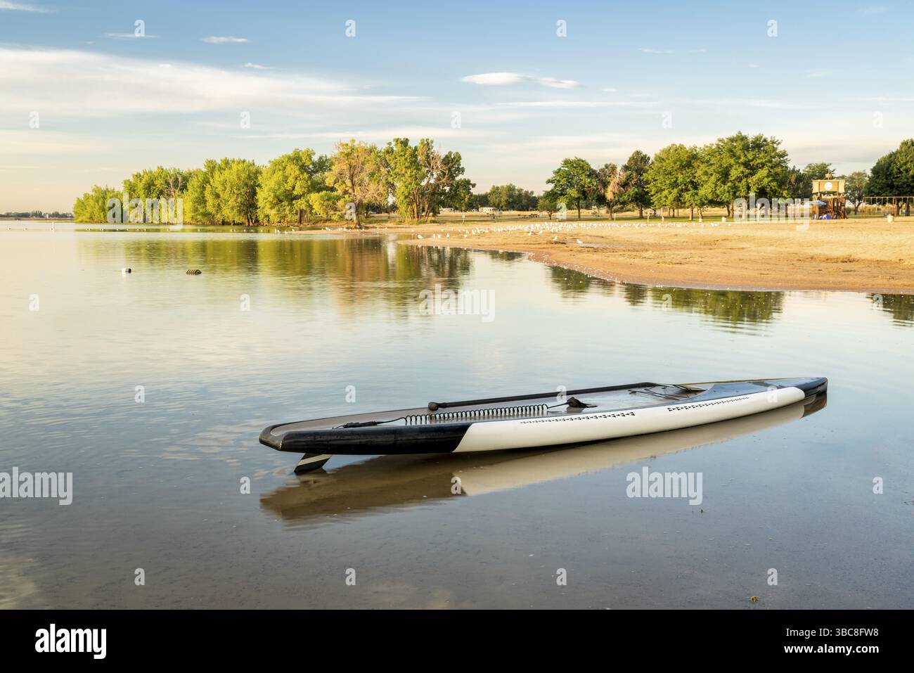 Stand up paddleboard with a paddle and safety leash on a beach at Boyd ...